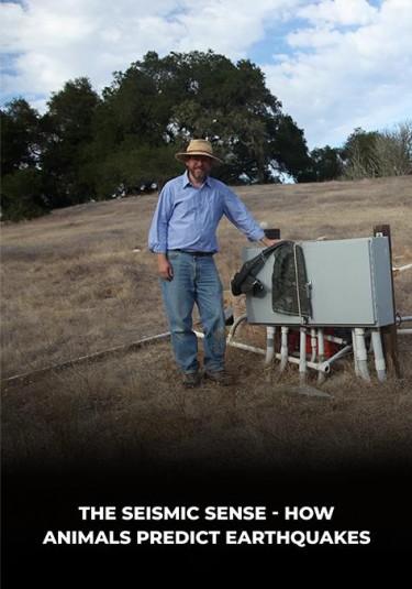 Watch The Seismic Sense - How Animals Predict Earthquakes (2012) Movie ...